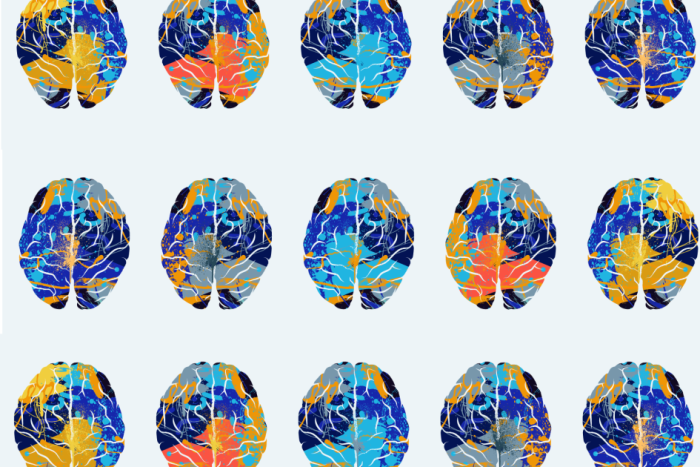 Accessible Education | 5 Common Learning Differences in Students: A ...